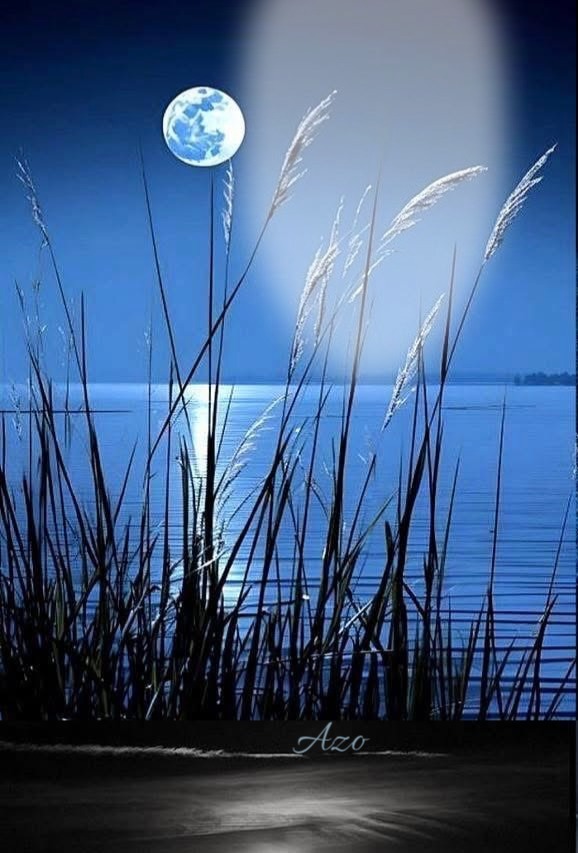 Tony ángel Photo Frame Effect | Pixiz