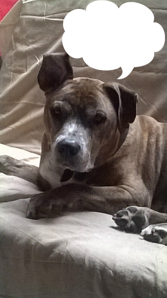 Dede Photo Frame Effect | Pixiz