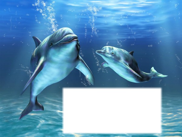 Gaby Photo Frame Effect | Pixiz