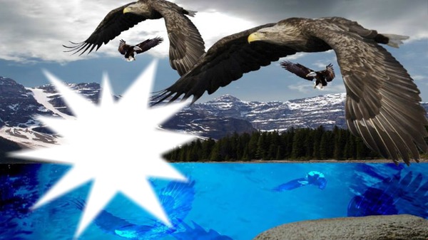 VUELO Fotomontagem | Pixiz