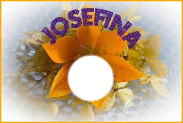 Amiga 15 Photo Frame Effect | Pixiz