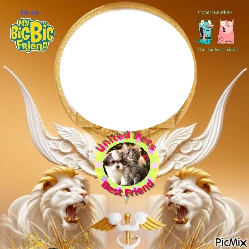 Congratulations Photo Frame Effect | Pixiz