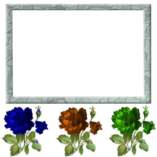 rose Design Template | Pixiz