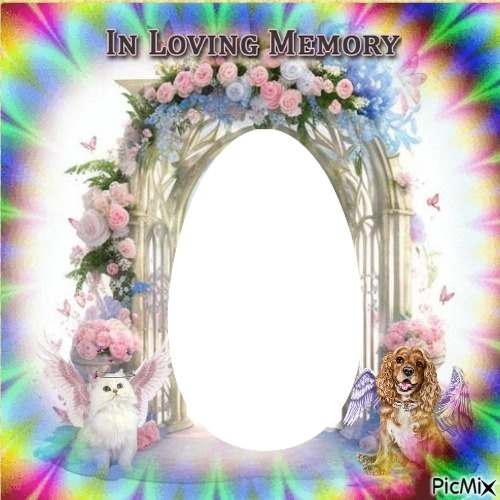 memory Montage photo | Pixiz