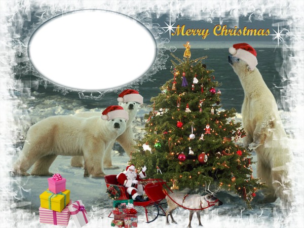 Opaline* Photo Frame Effect | Pixiz