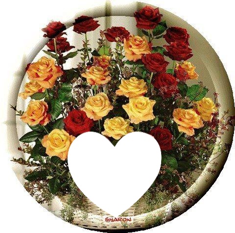 Pasa I Zuza Photo Frame Effect | Pixiz