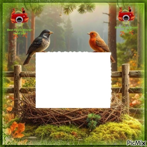 Congratulations Photo Frame Effect | Pixiz