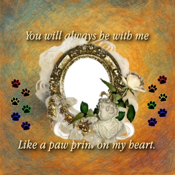 Missing You Photo Frame Effect | Pixiz