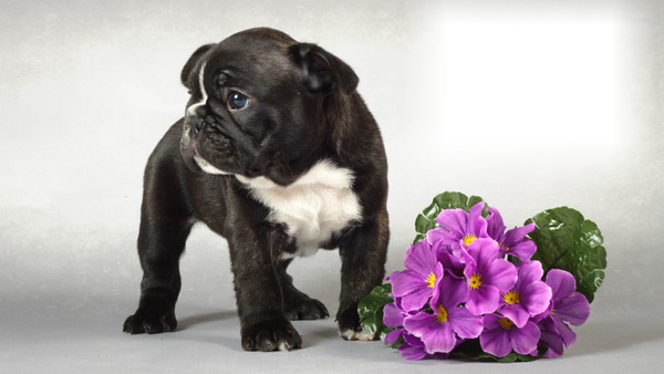 серега Montaje fotografico | Pixiz