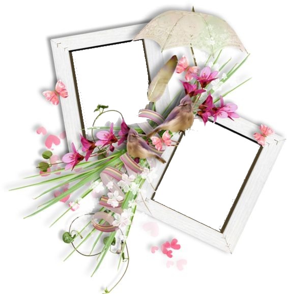 Frame Photo Frame Effect | Pixiz