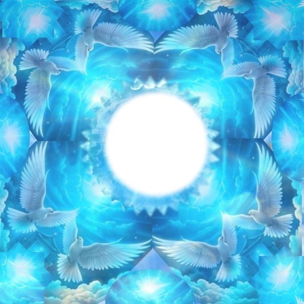 palomas blancas Design Template | Pixiz