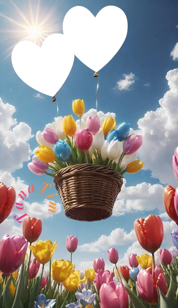 FOTO Montage photo | Pixiz