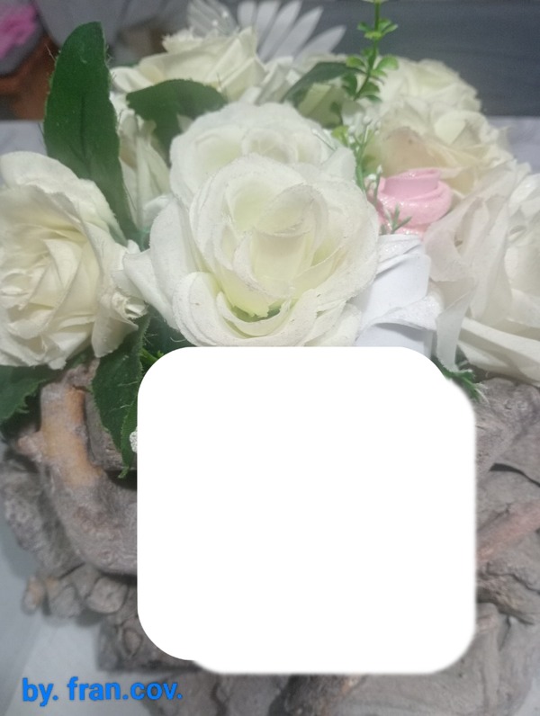 Franco Rosy Photo Frame Effect | Pixiz