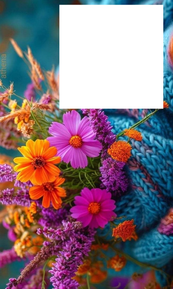 FOTO Montaje Fotografico | Pixiz