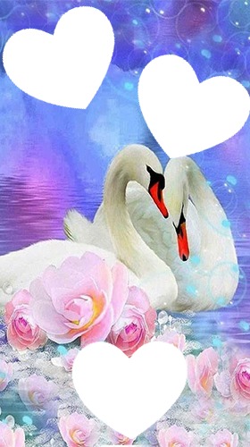 gvfg Montage photo | Pixiz