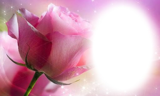 Ross Photo Frame Effect | Pixiz