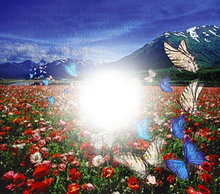 Paront Photo Frame Effect | Pixiz