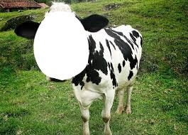 Fotomontagem hjkl - Pixiz