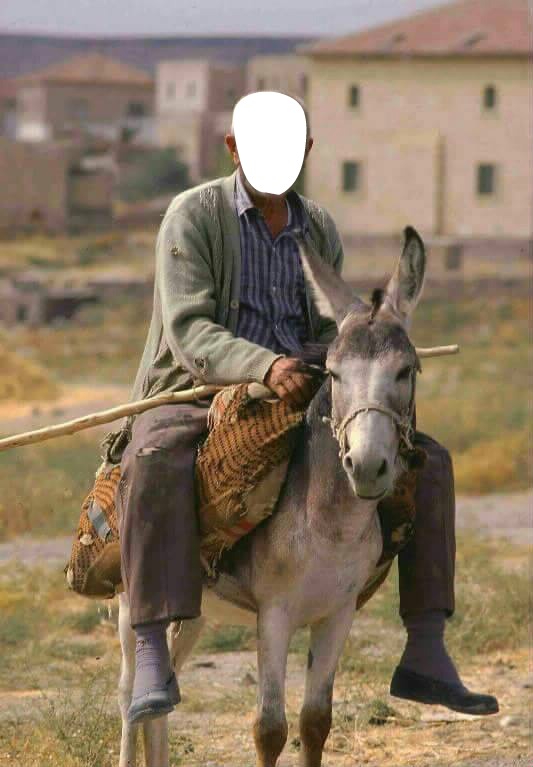 ANE Photo Frame Effect | Pixiz