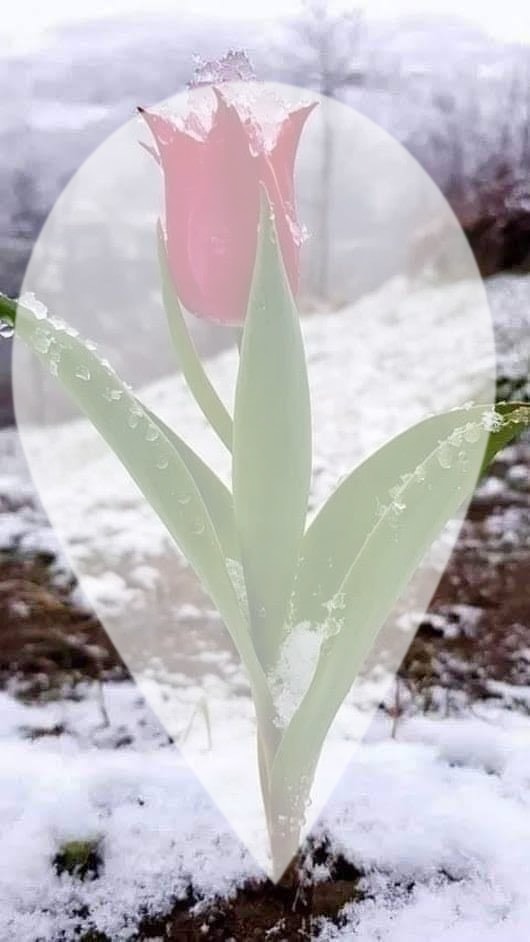 fgg Montage photo | Pixiz