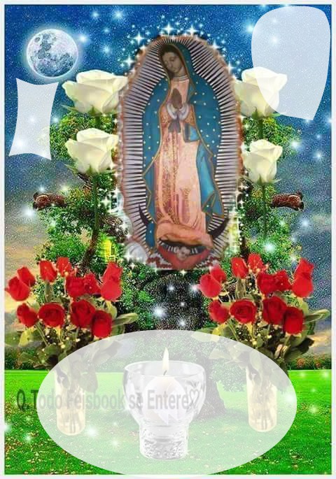 pppppppppp Montage photo | Pixiz