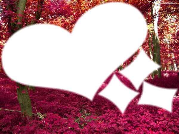 asdfghjklñ Montaje fotografico | Pixiz