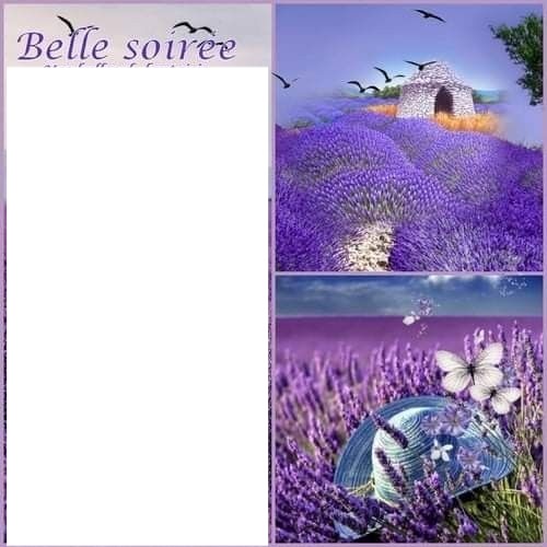 MOI Design Template | Pixiz