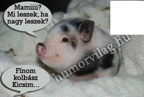 Malacka Photo Frame Effect | Pixiz