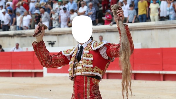 torero Design Template | Pixiz