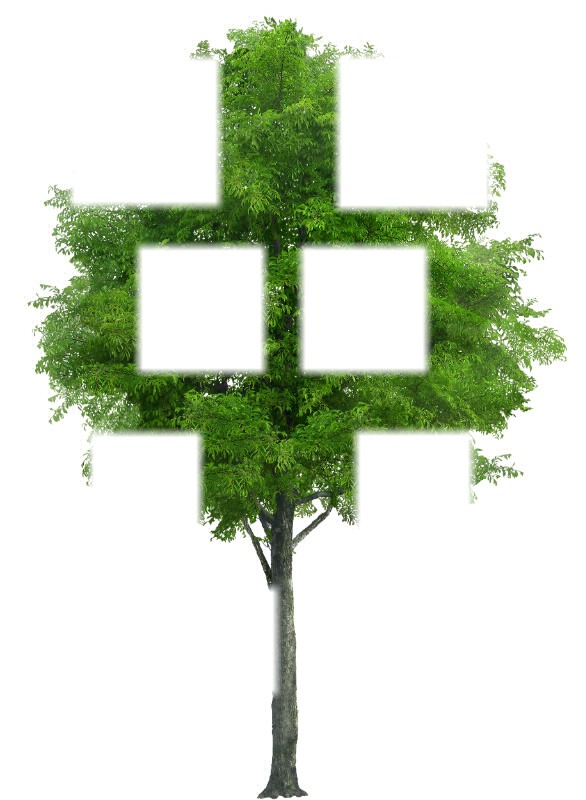 Arbe Genialogique Photo Frame Effect | Pixiz