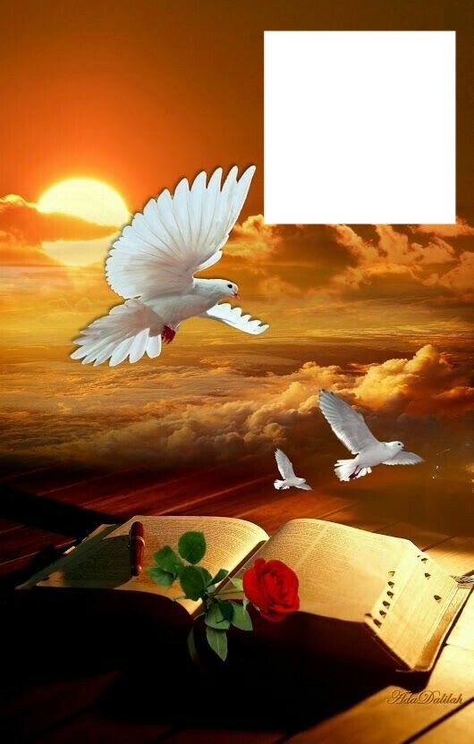 deuil Montage photo | Pixiz