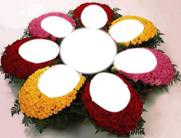 popa constanta Montaje fotografico | Pixiz