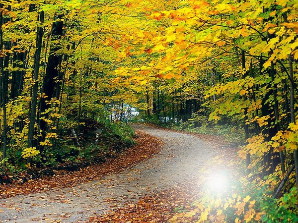 12345 Design Template | Pixiz