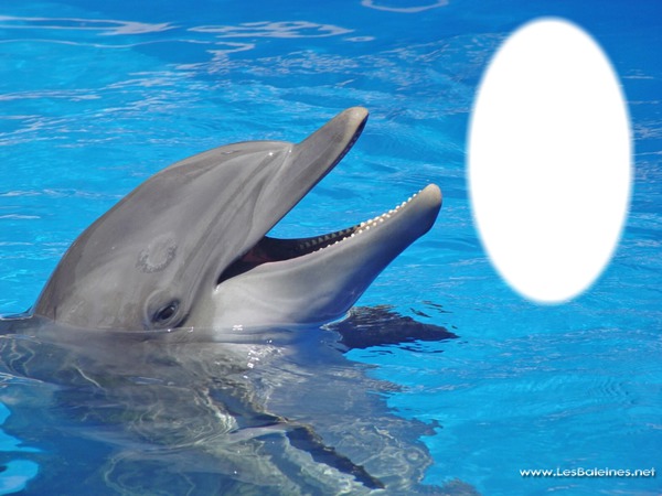 Gaby Photo Frame Effect | Pixiz