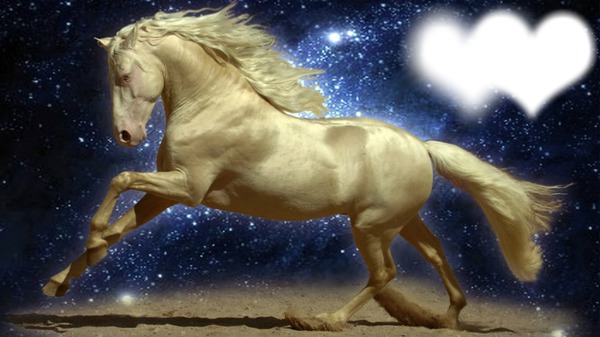 Labrousse Photo Frame Effect | Pixiz