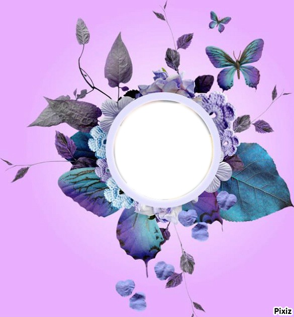 biba Montage photo | Pixiz