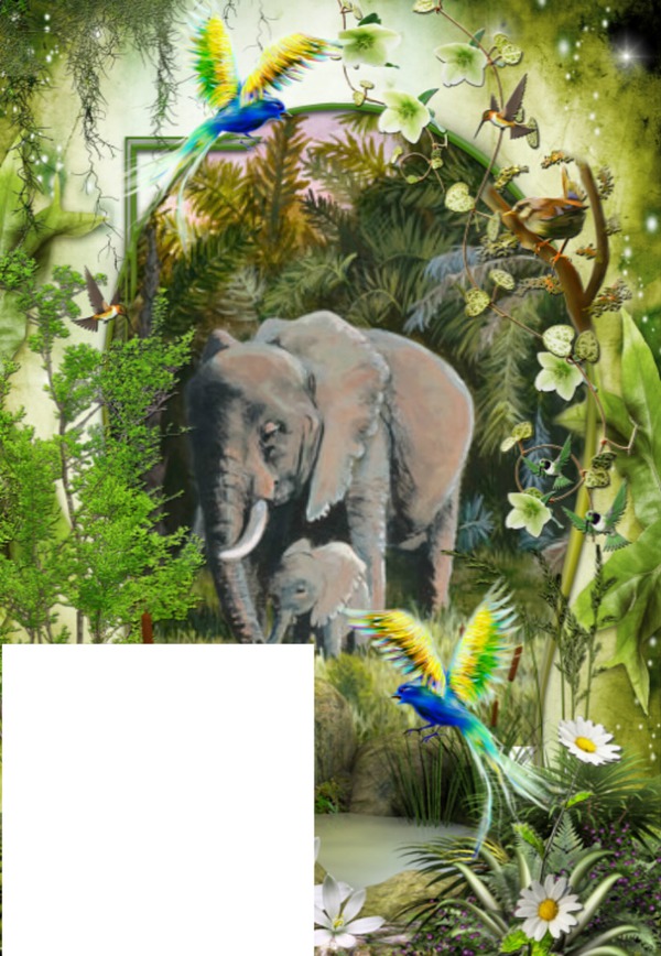 elep Design Template | Pixiz