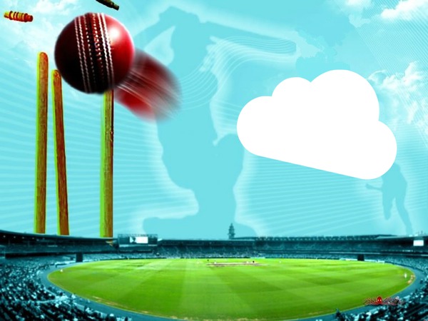 cricket Design Template | Pixiz