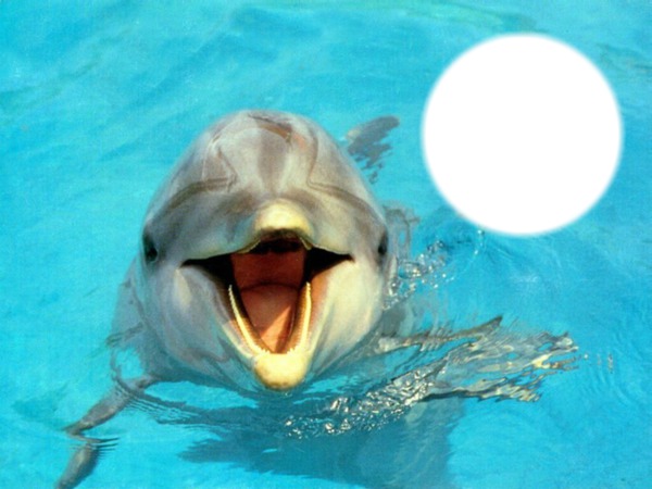 Gaby Photo Frame Effect | Pixiz