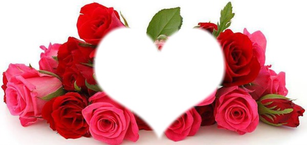 fgfgdf Montaje fotografico | Pixiz