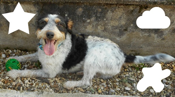 BUBULLE Design Template | Pixiz