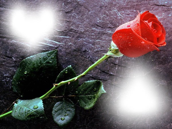 Tu Yyo Photo Frame Effect | Pixiz