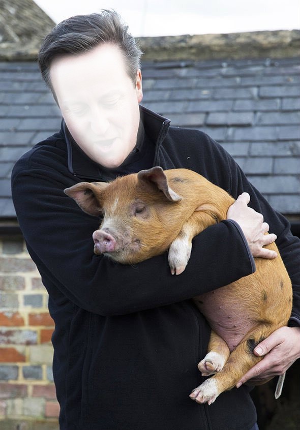 wqa Montage photo | Pixiz