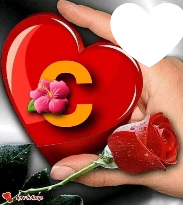 Coeur Design Template | Pixiz