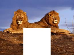 صالح Montaje Fotografico | Pixiz