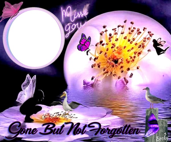 gone but not forgotten Design Template | Pixiz