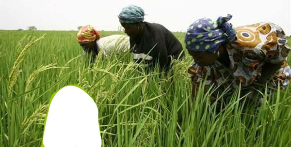 curg Montage photo | Pixiz