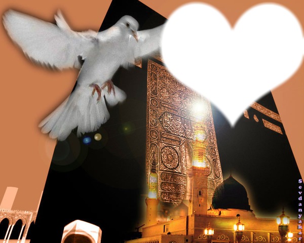 llgh Montaje fotografico | Pixiz