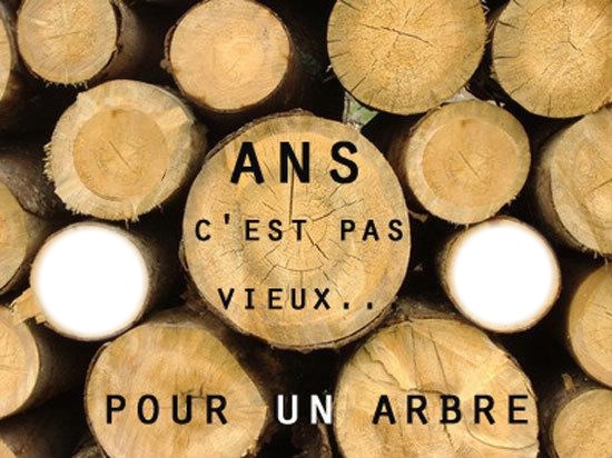 Arbre Photo Frame Effect | Pixiz