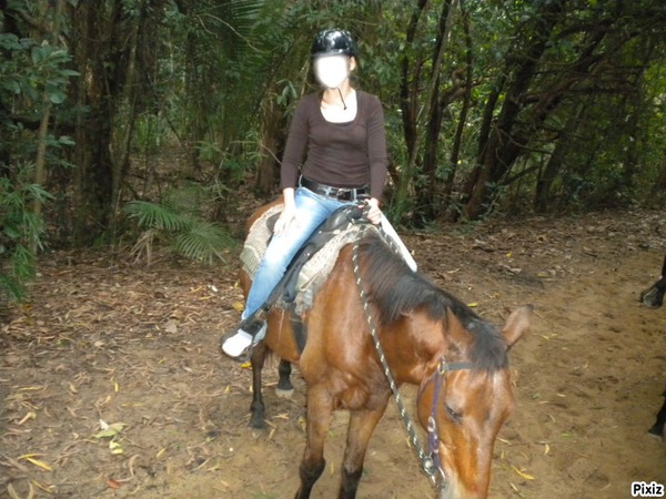 xdfgh Montage photo | Pixiz